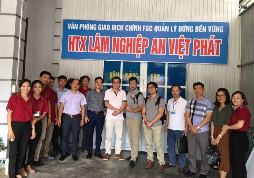 Công Ty TNHH MTV Năng Lượng An Việt Phát | ở tại Tp. Hồ Chí Minh (TPHCM)