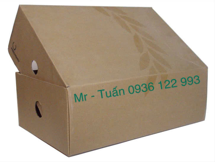 Thùng Carton Nam Anh - Công Ty TNHH Bao Bì Công Nghiệp Nam Anh | Thư ...