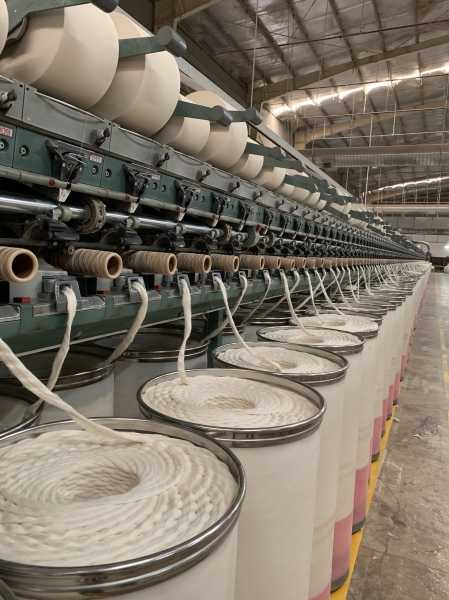 Sợi Dệt - Công Ty TNHH Mei Sheng Textiles Việt Nam